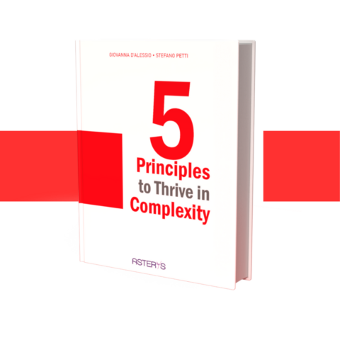 5 PRINCIPLES TO THRIVE IN COMPLEXITY - Aequacy